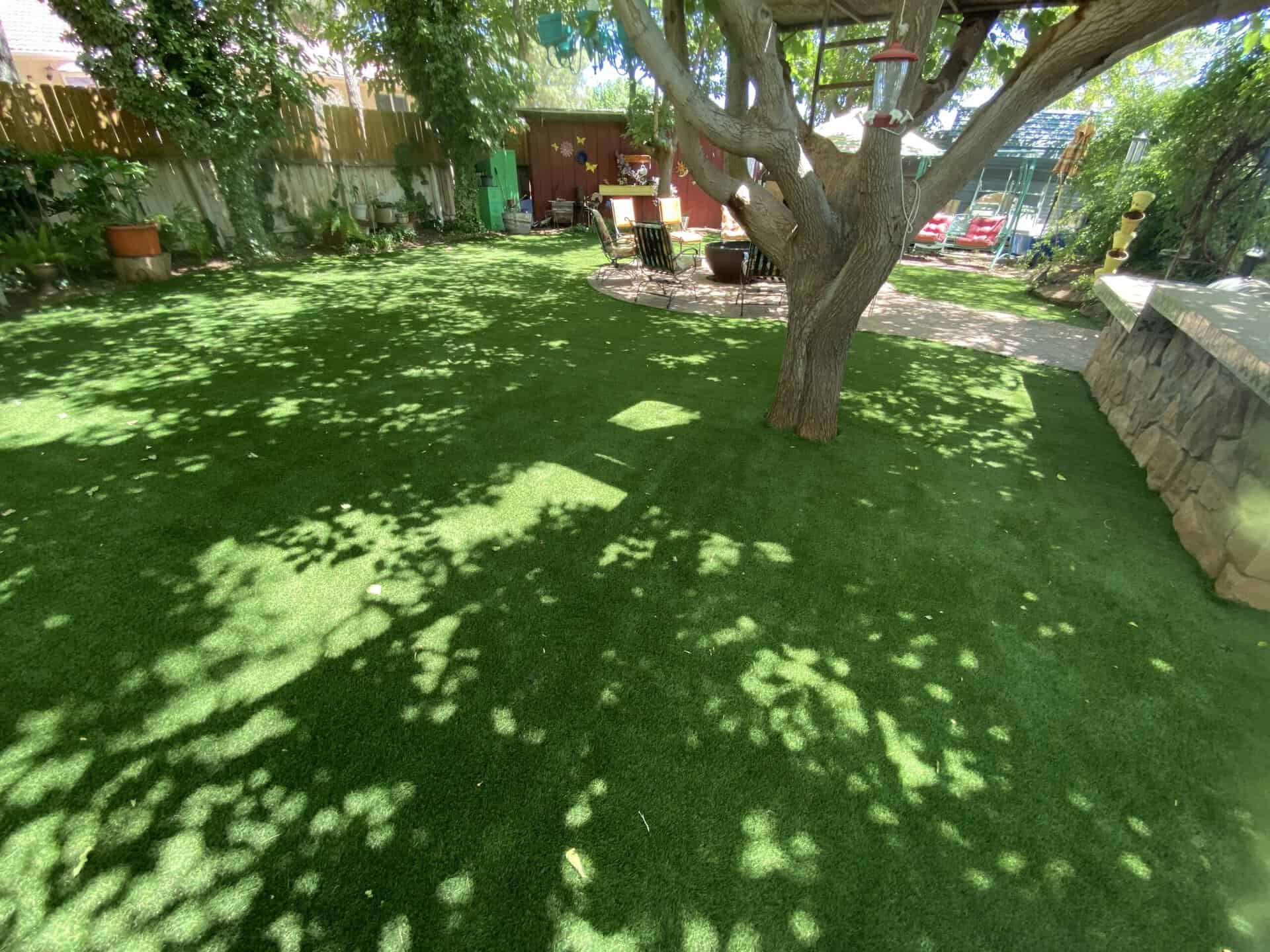 Synthetic Turf: A Solution for Shady Areas - Total Turf Supply